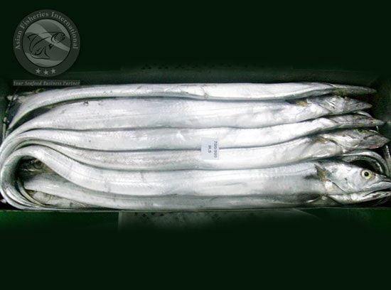 Asian Fisheries International – Your Seafood Business Partner!